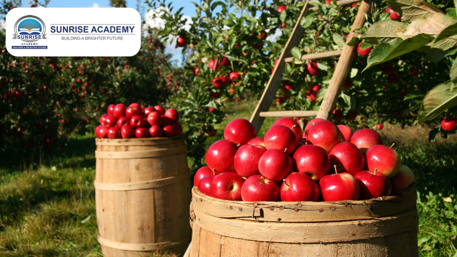 Kindergarten & 1st Grade Apple Picking Field Trip 2025 - Sunrise ...